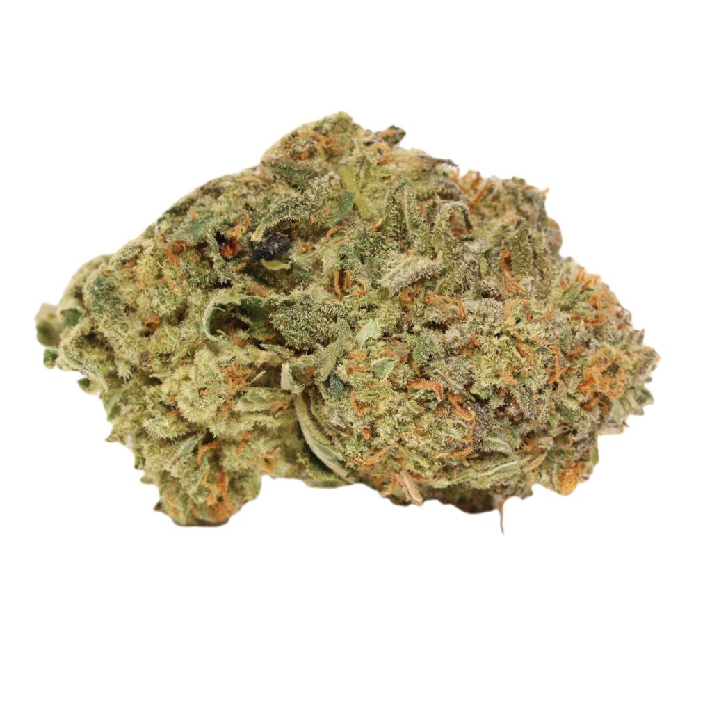 94 Monkey Strain | Bulk Buddy #1 Online Dispensary Canada
