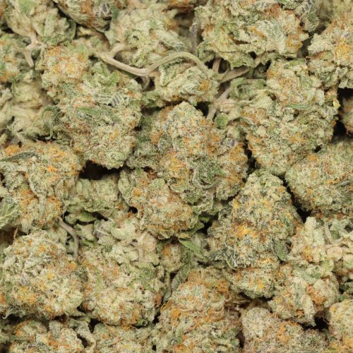 Galactic Punch Strain | Online Dispensary Canada | Bulk Buddy