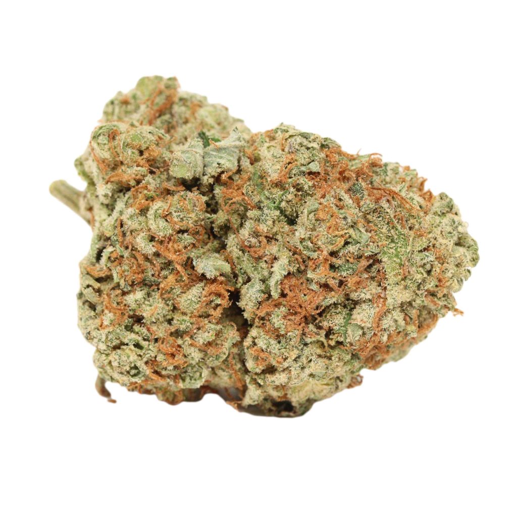 Gary Payton Strain | Online Dispensary Canada | Bulk Buddy
