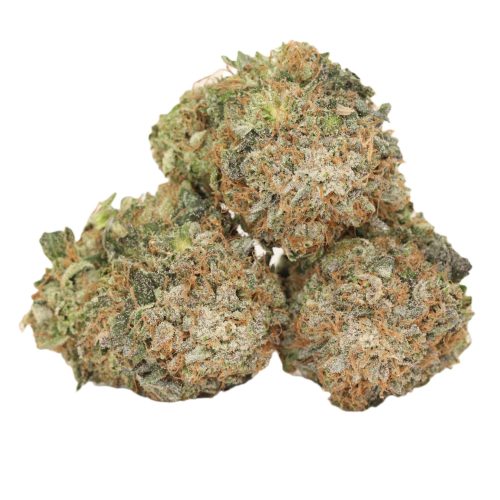 King Louis XIII Strain Craft | Bulk Buddy Online Dispensary