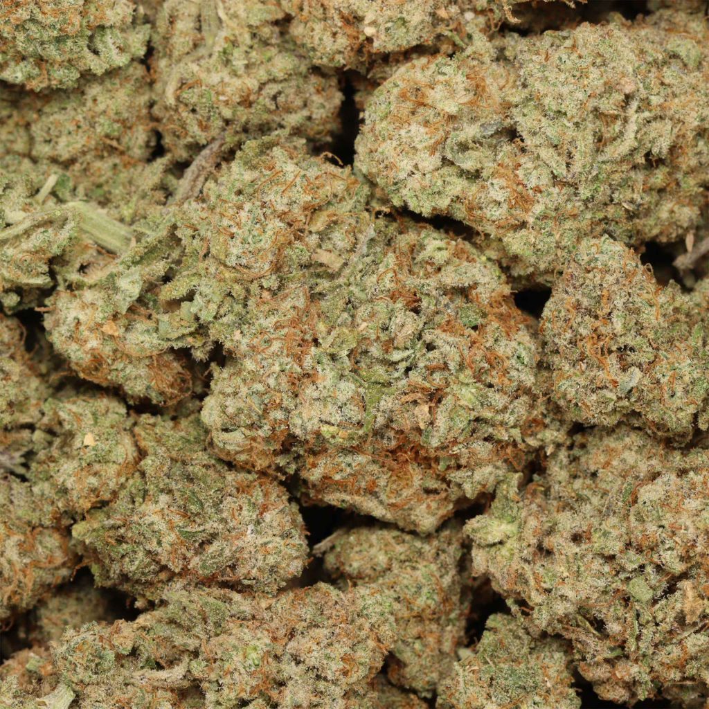 Order MAC 1 Strain | Bulk Buddy | Online Dispensary Canada