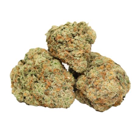 Scooby Snacks Strain | Bulk Buddy | Online Dispensary Canada