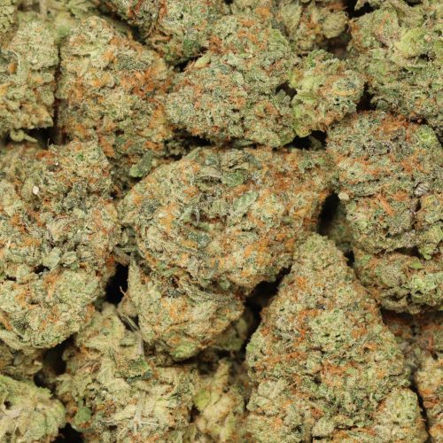 Scooby Snacks Strain | Bulk Buddy | Online Dispensary Canada