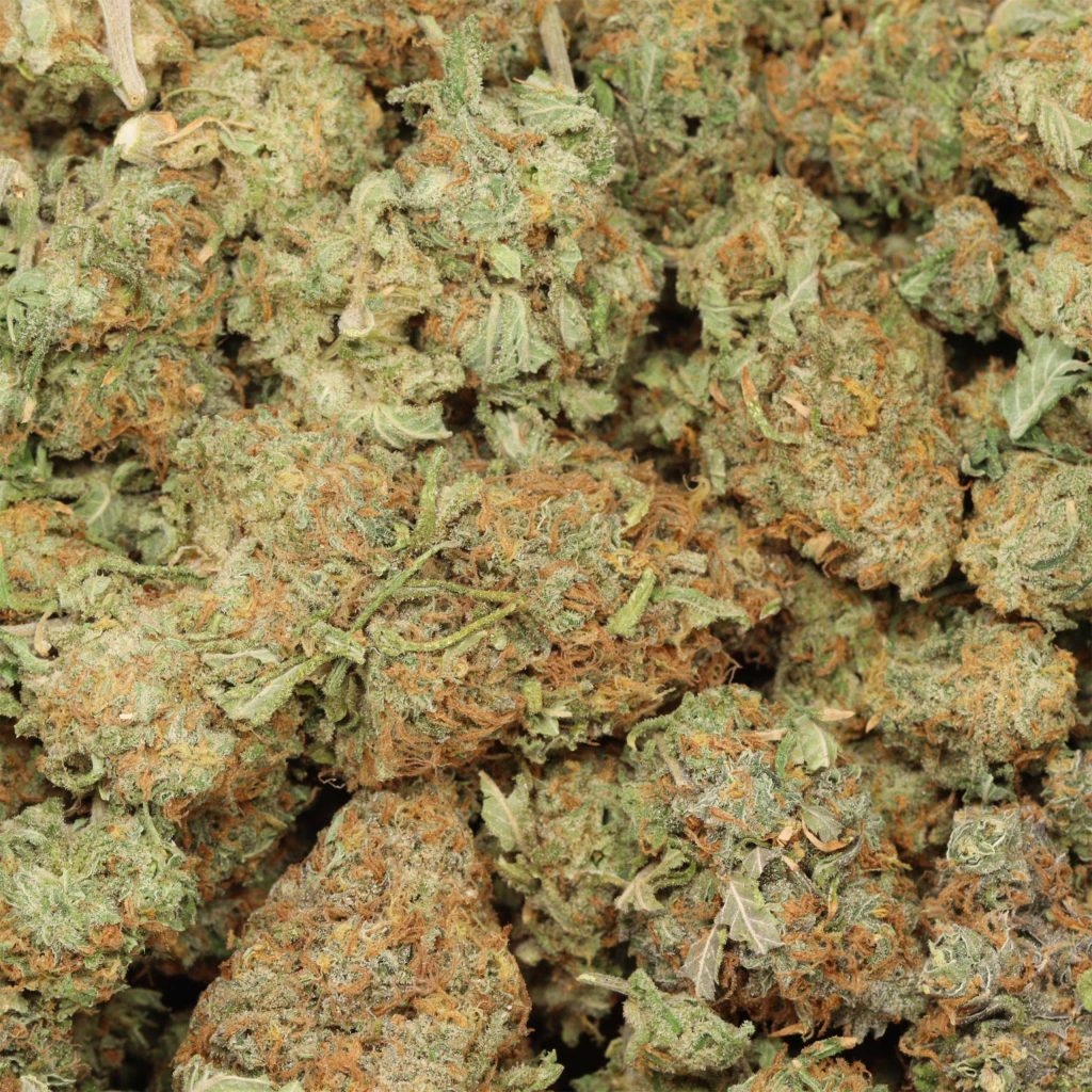 Alaskan Thunder Fuck Strain | Bulk Buddy Online Dispensary Canada