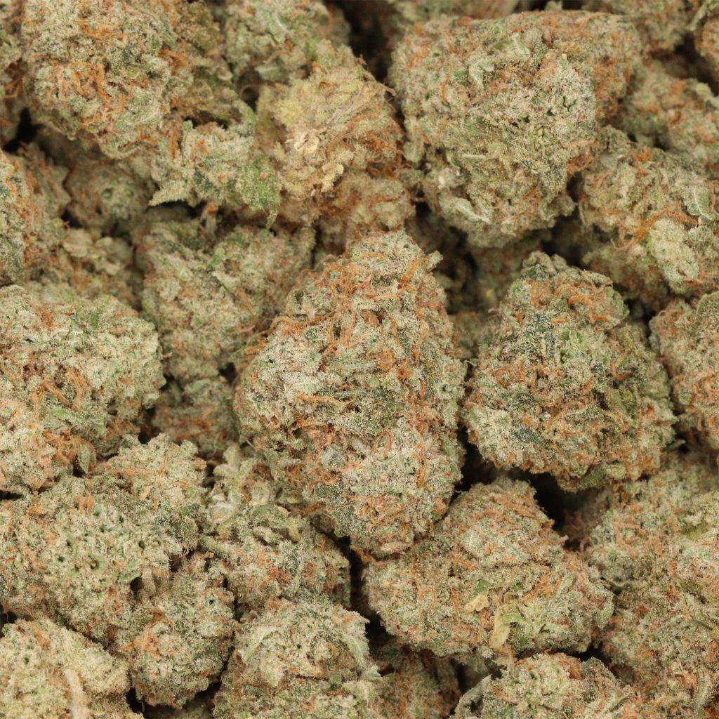 Alien Cookies Strain | Online Dispensary Canada | Bulk Buddy