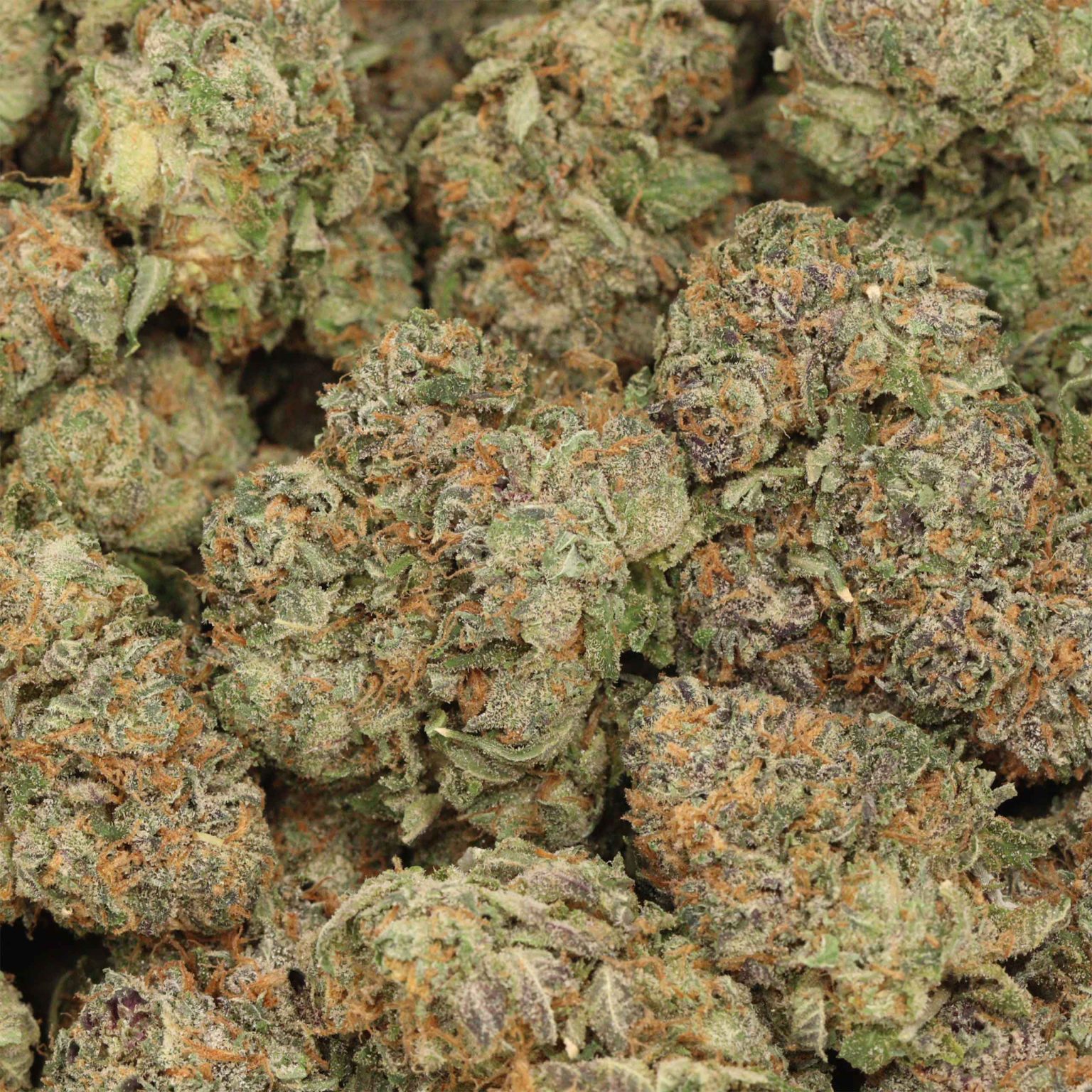 Banana Kush Strain | Bulk Buddy | Online Dispensary Canada