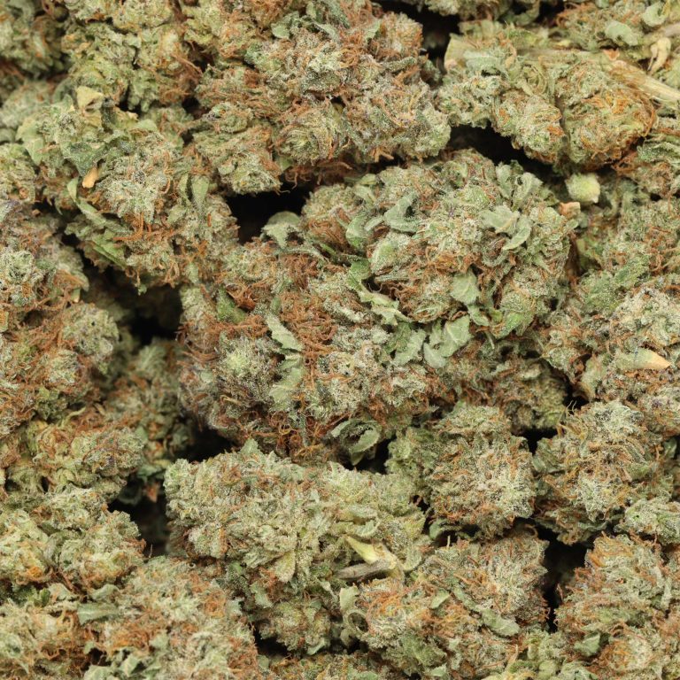 Black Diamond Strain | Bulk Buddy Online Dispensary Canada