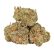 Black Mamba Strain | Online Dispensary Canada | Bulk Buddy