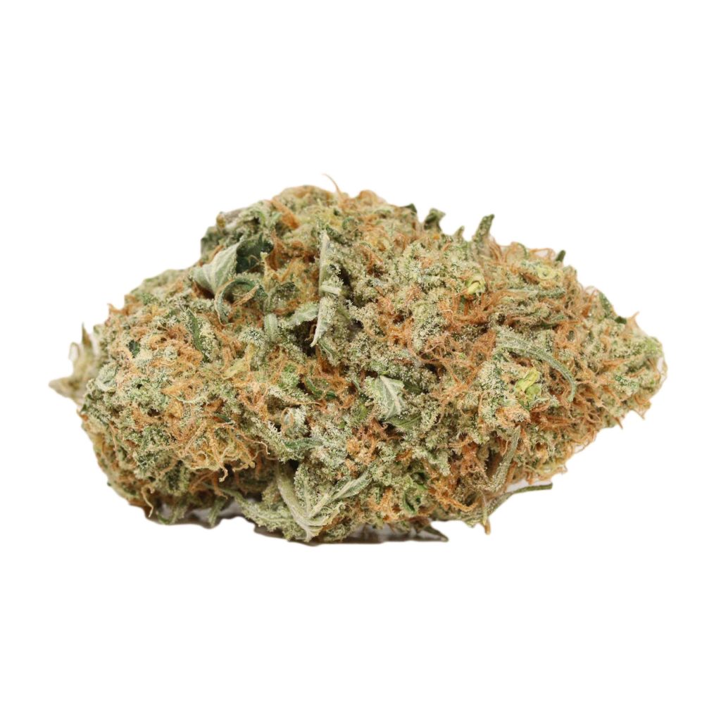 Buy Blueberry Pie Strain | Bulk Buddy | Online Dispensary