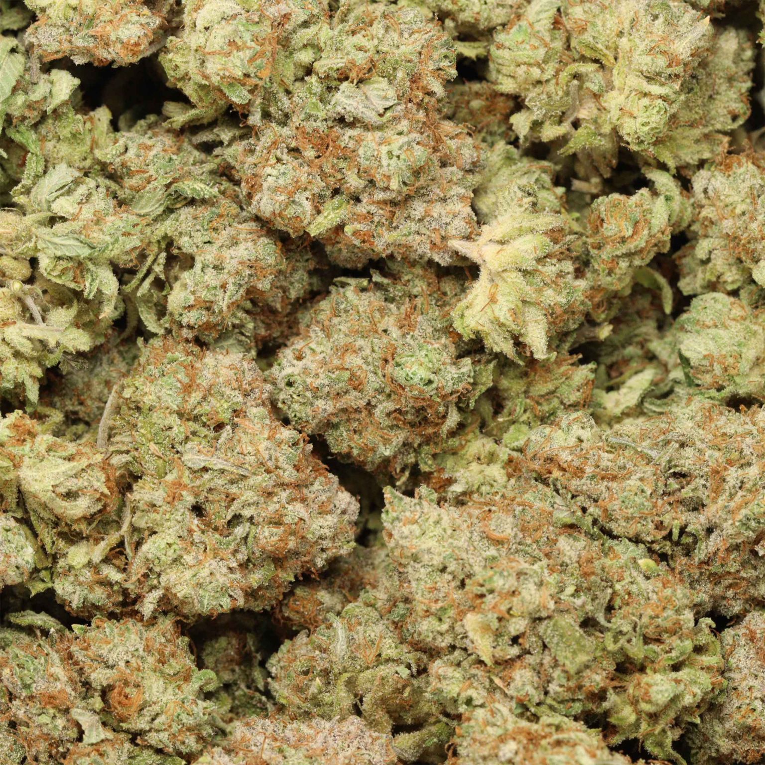 Forbidden Fruit Strain | Bulk Buddy Online Dispensary Canada