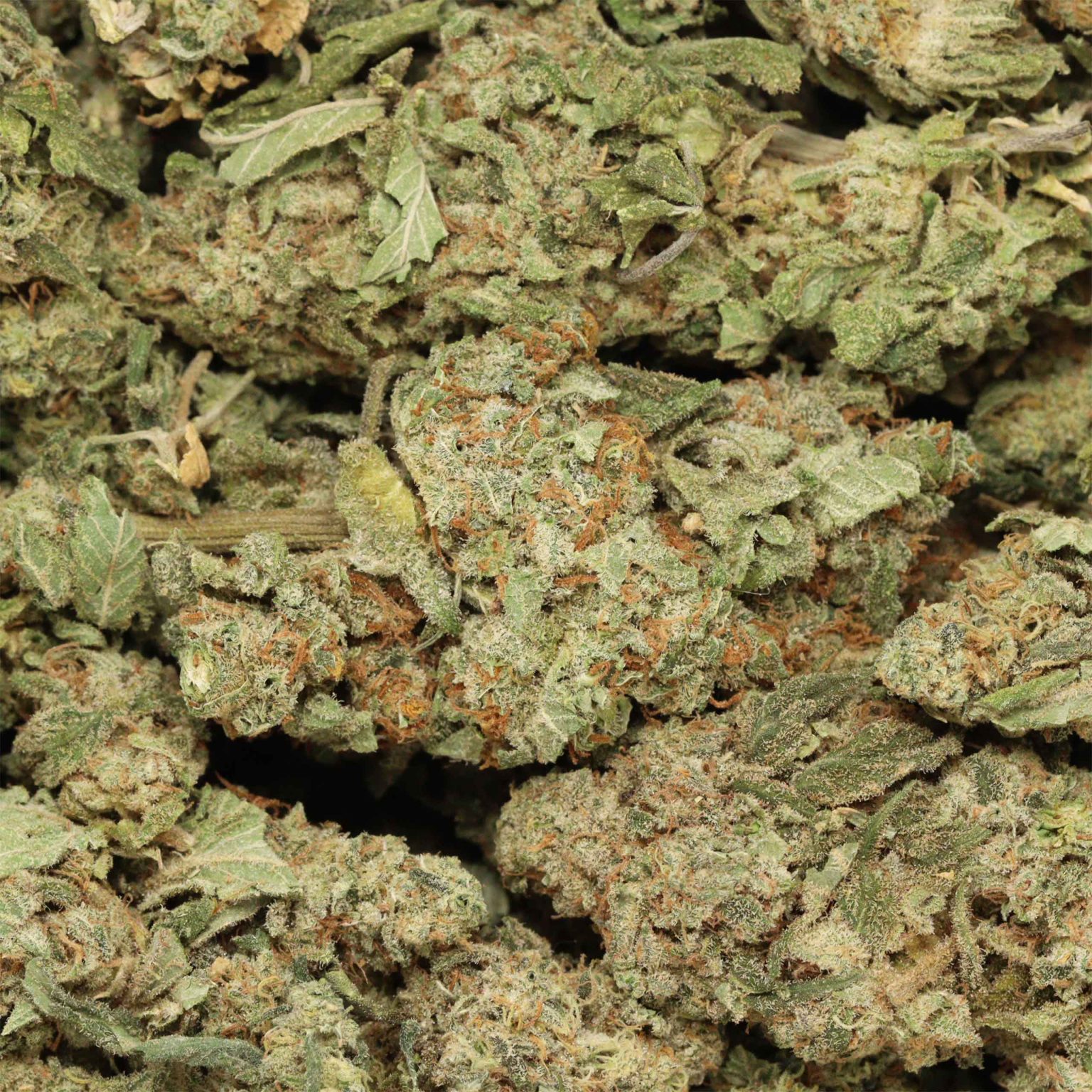 Lemon Skunk Strain | Bulk Buddy | Online Dispensary Canada