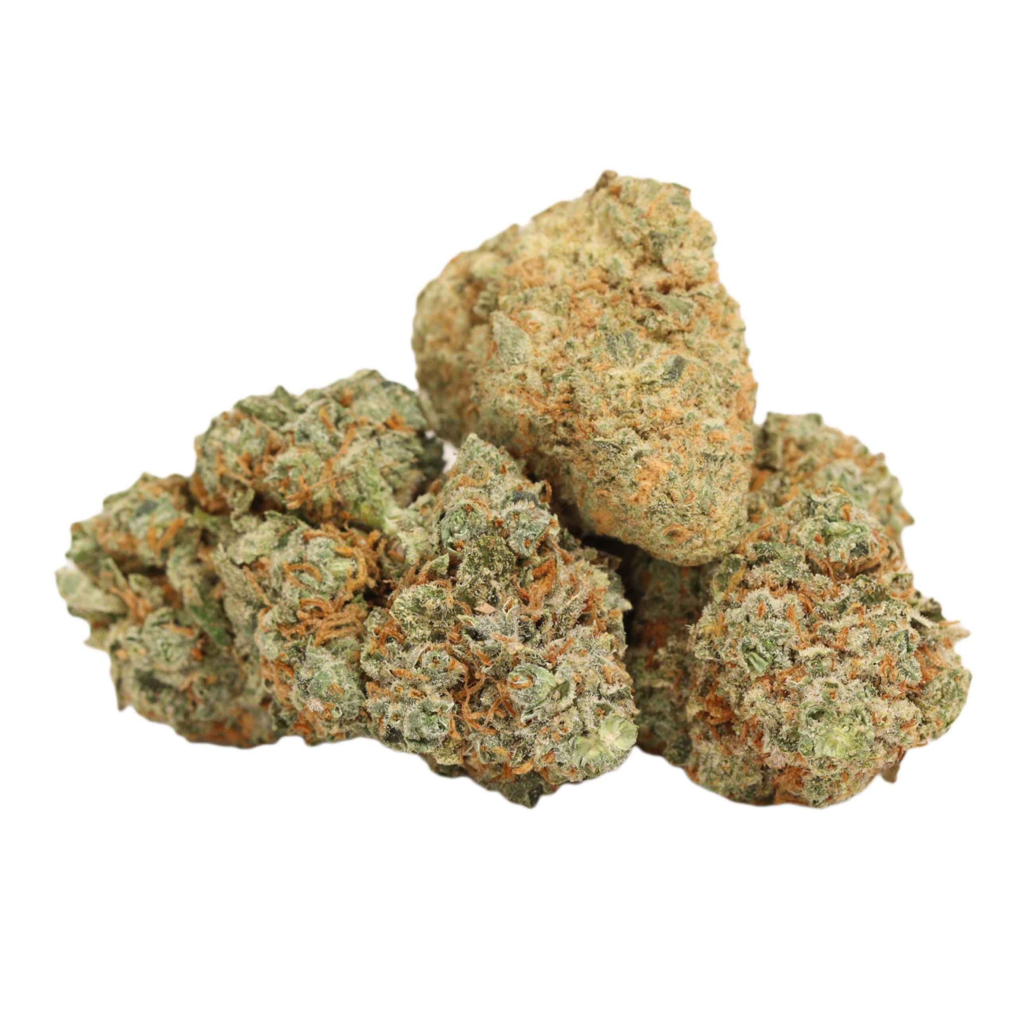 Master Kush Strain | Buy Weed At Bulk Buddy Dispensary Canada