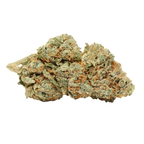 Master Kush Strain | Buy Weed At Bulk Buddy Dispensary Canada