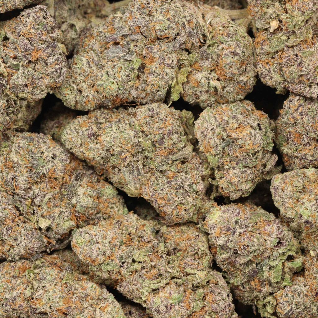 Purple Blizzard Strain Craft Bulk Buddy Online Dispensary Canada