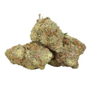 Candyland Strain | Online Dispensary Canada | Bulk Buddy | Wholesale Weed