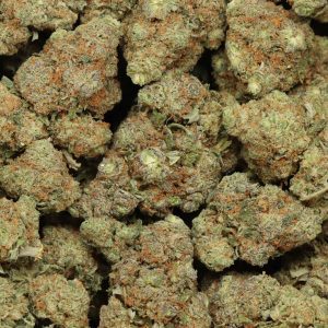 Candyland Strain | Online Dispensary Canada | Bulk Buddy | Wholesale Weed