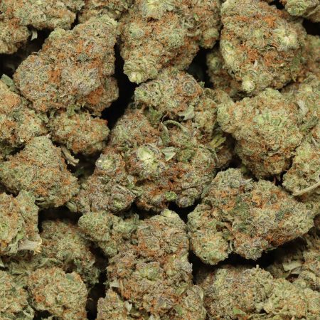 Candyland Strain | Online Dispensary Canada | Bulk Buddy | Wholesale Weed