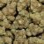 Candyland Strain | Online Dispensary Canada | Bulk Buddy | Wholesale Weed