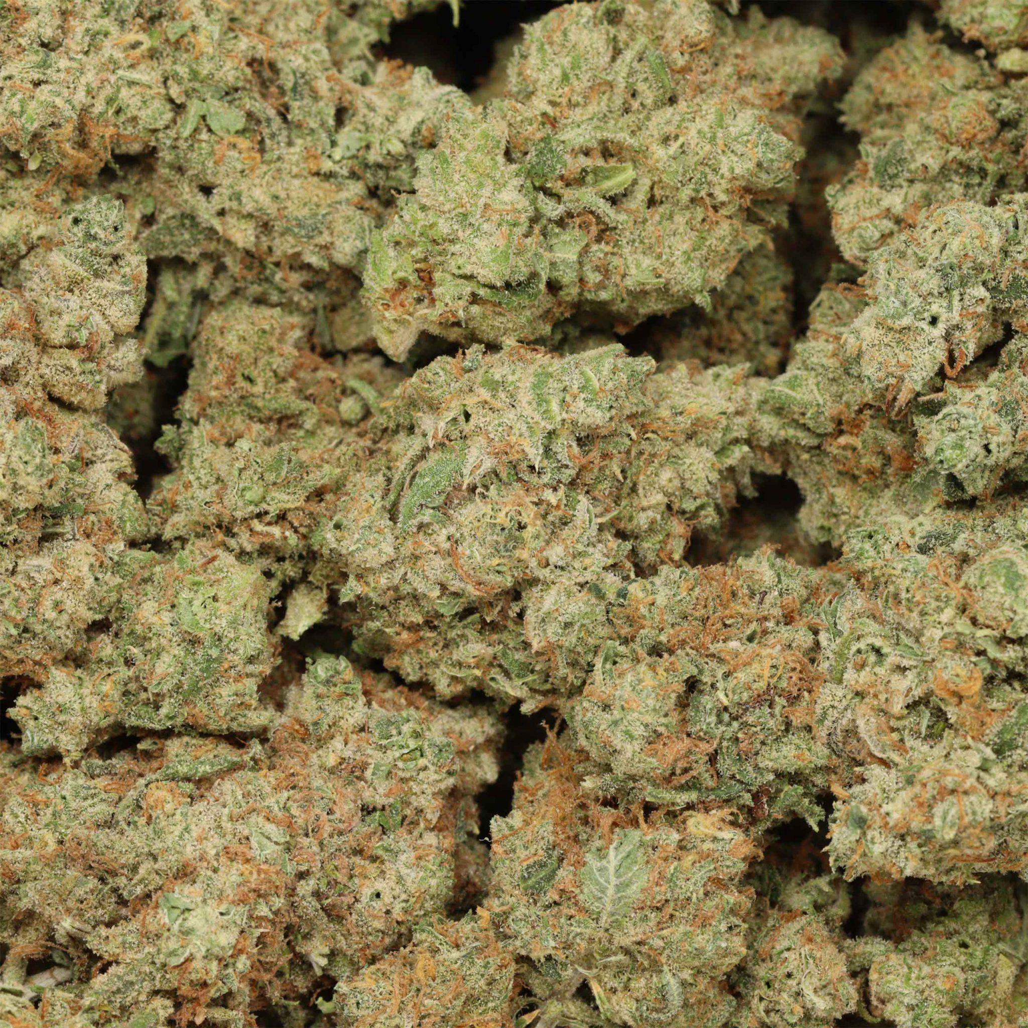Sunset Sherbet Strain | Bulk Buddy Weed | Online Dispensary