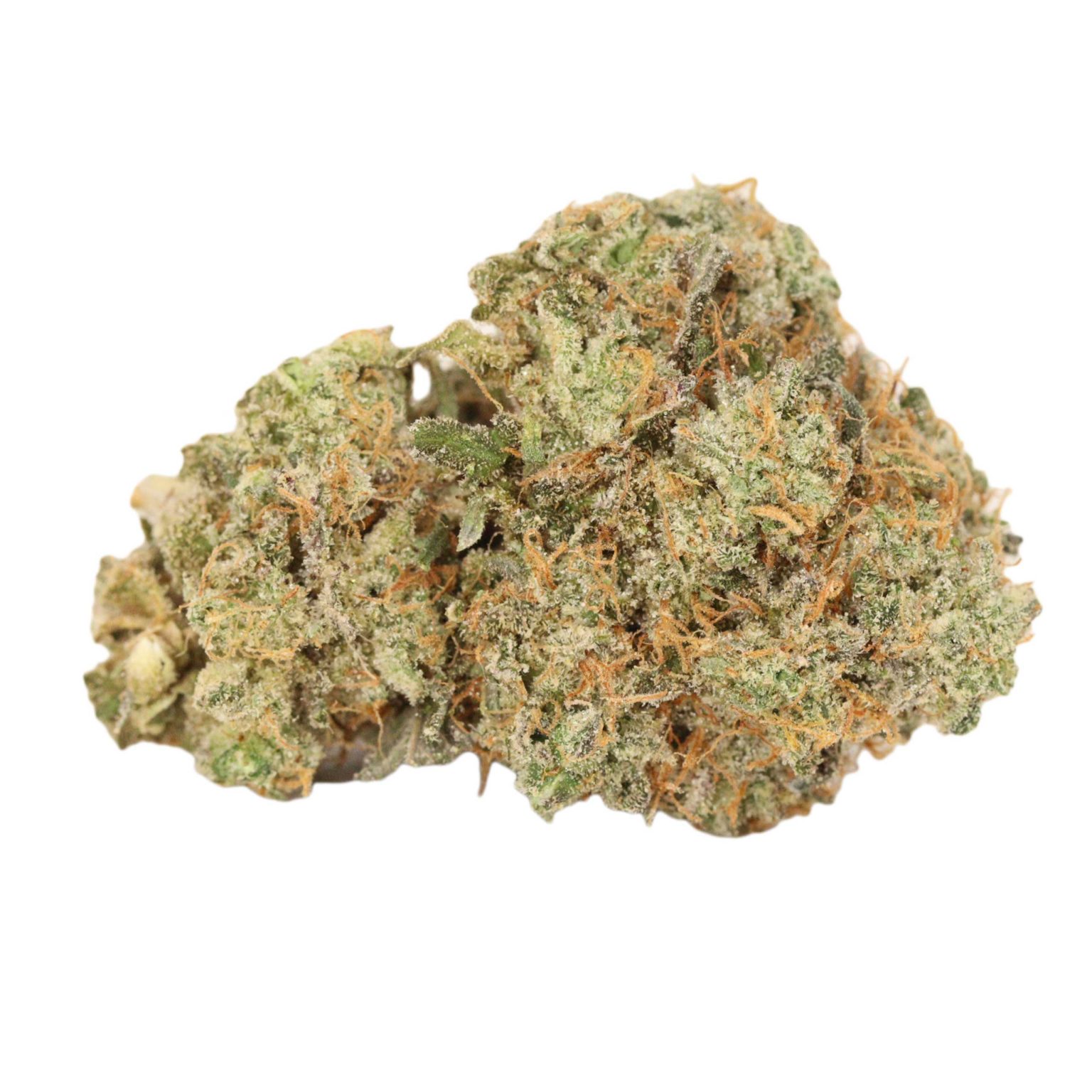 Super Lemon Haze Strain | Bulk Buddy Online Dispensary Canada