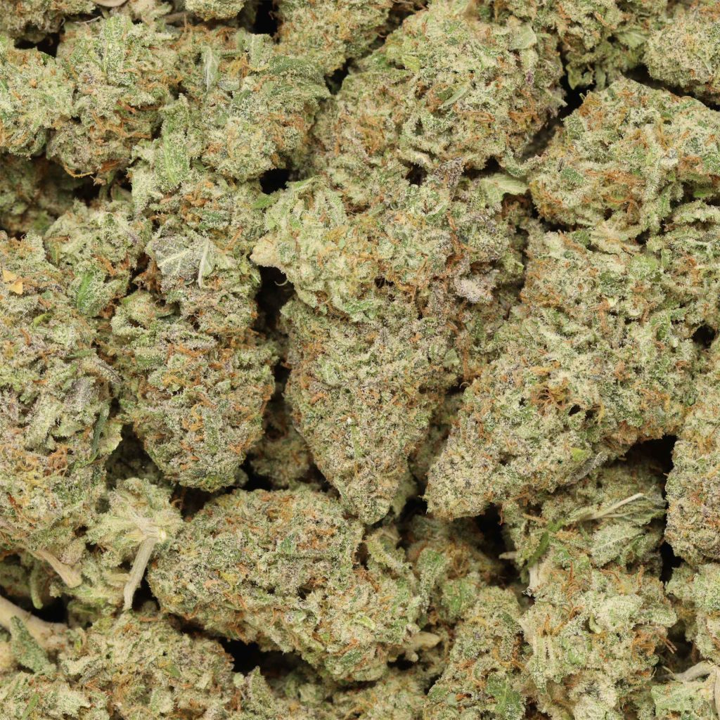 Atomic Bomb Strain | Bulk Buddy | Online Dispensary Canada
