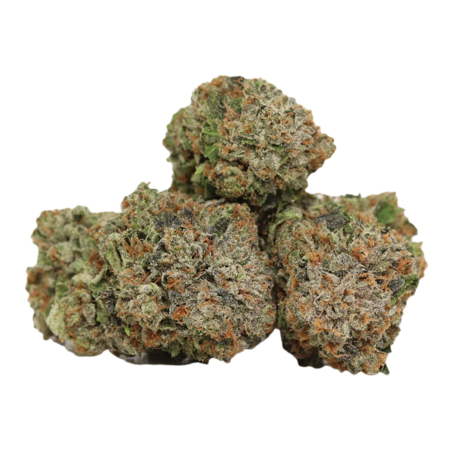 Black Kush Strain | Online Dispensary Canada At Bulk Buddy
