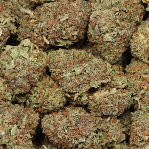 Black Mamba Strain | Online Dispensary Canada | Bulk Buddy