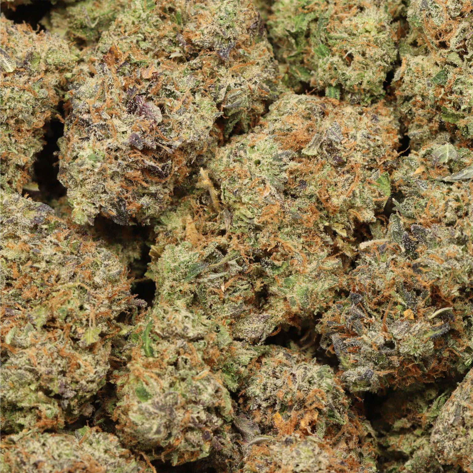Gas Face Strain Craft | Bulk Buddy Online Dispensary Canada