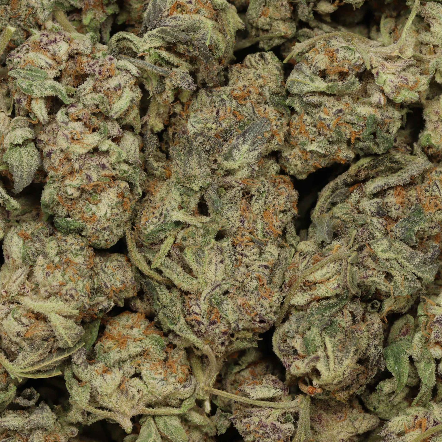 Ice Wine Strain | Bulk Buddy Weed | Online Dispensary Canada