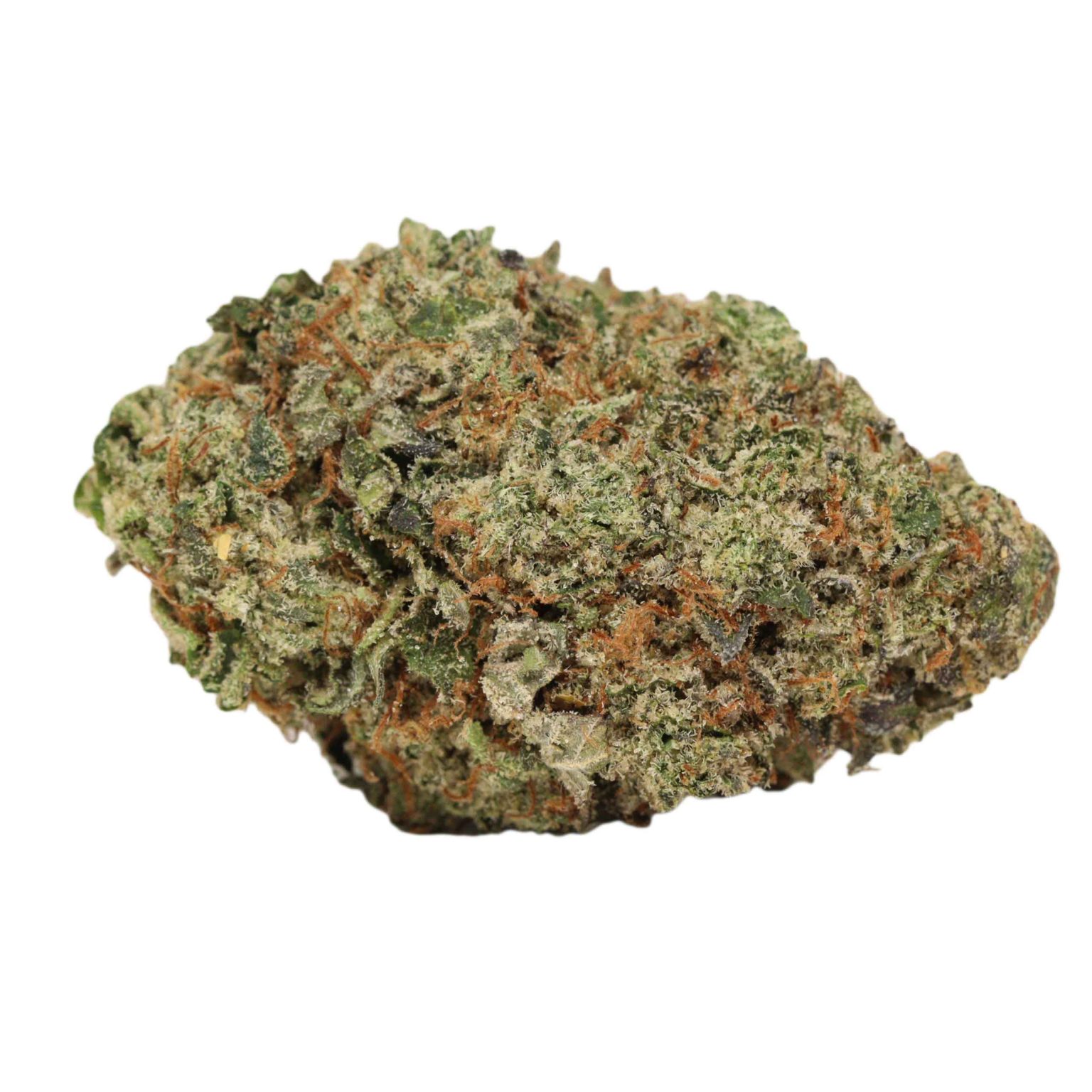 King Louis XIII Strain Craft | Bulk Buddy Online Dispensary
