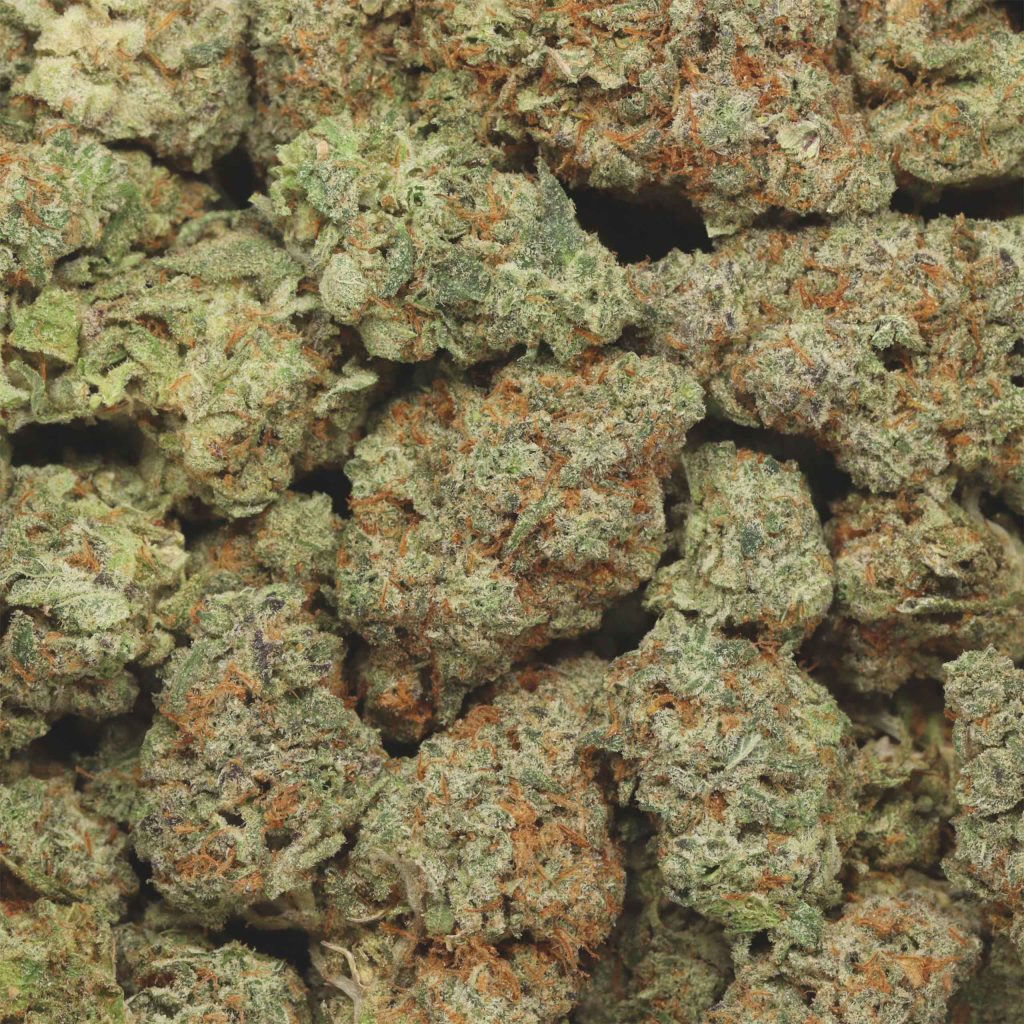 UBC Chemo Strain | Bulk Buddy | Online Dispensary Canada