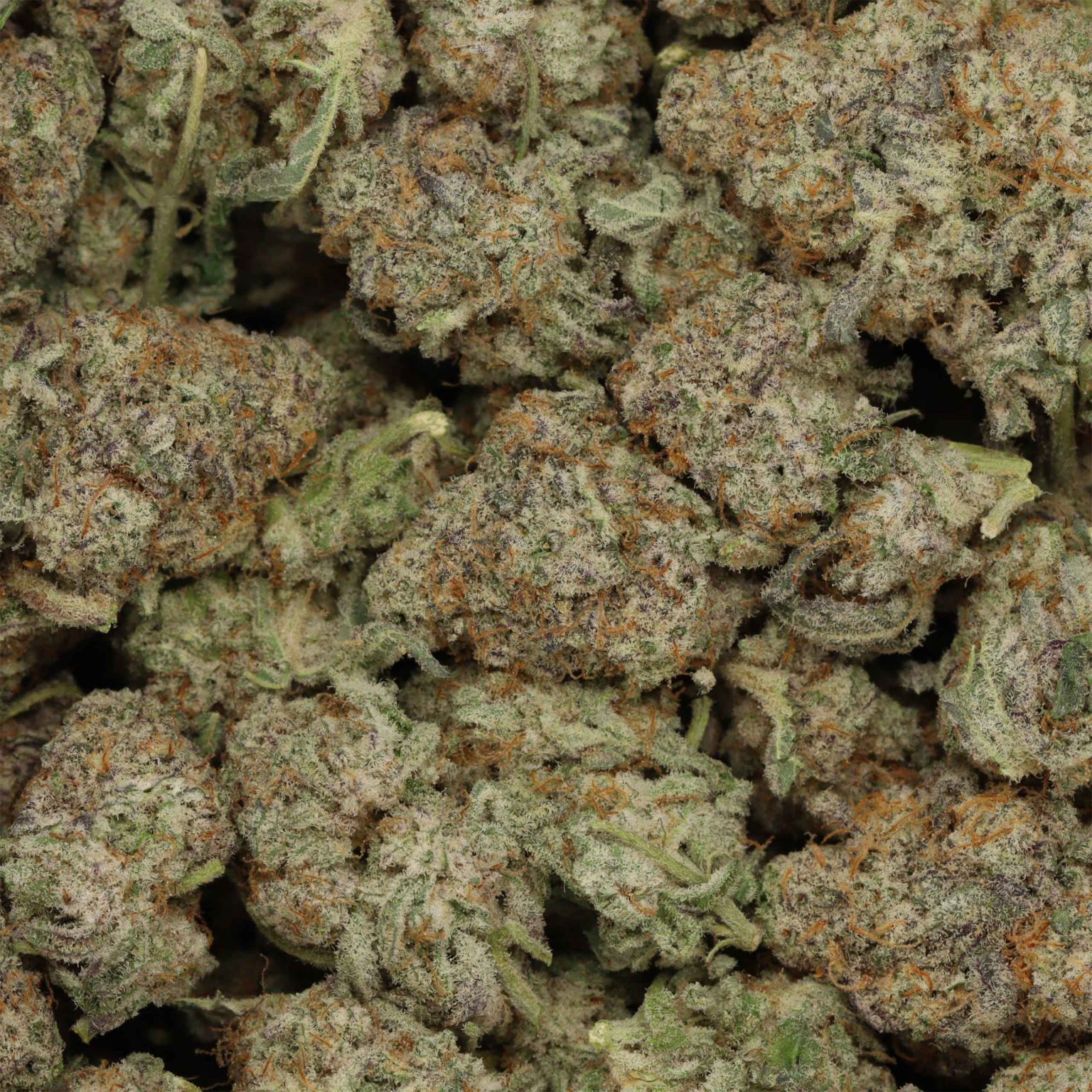 Mac Daddy Strain | Buy Weed Online At Bulk Buddy Dispensary