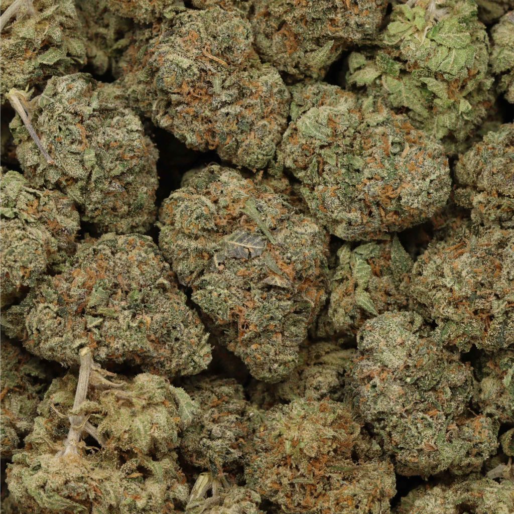 Blue Runtz Strain At Bulk Buddy | Online Dispensary Canada