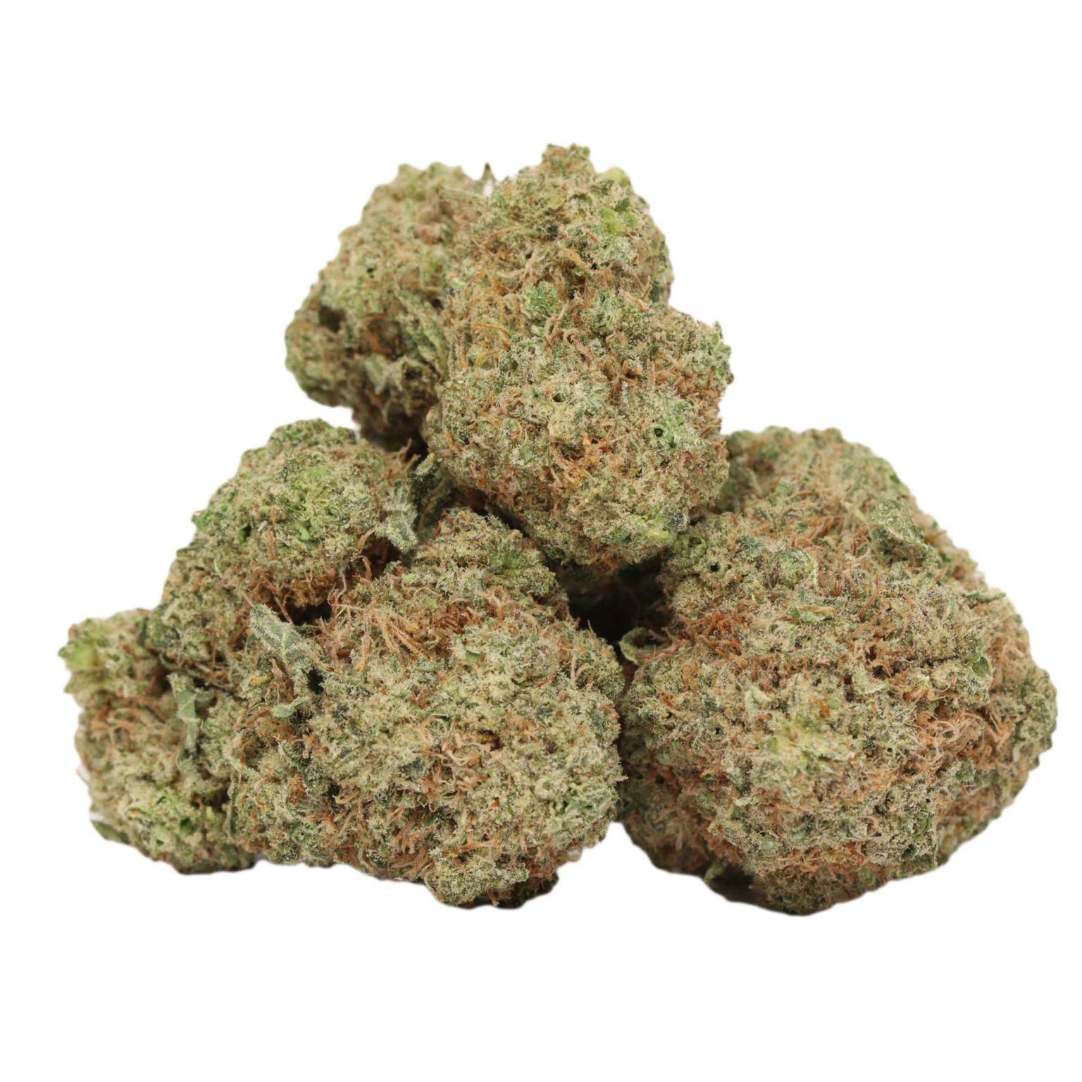 Blueberry Jack Strain | Bulk Buddy Online Dispensary Canada