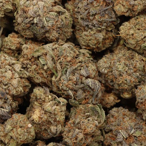 Purple Goo Strain | Buy Weed At Bulk Buddy Dispensary Canada