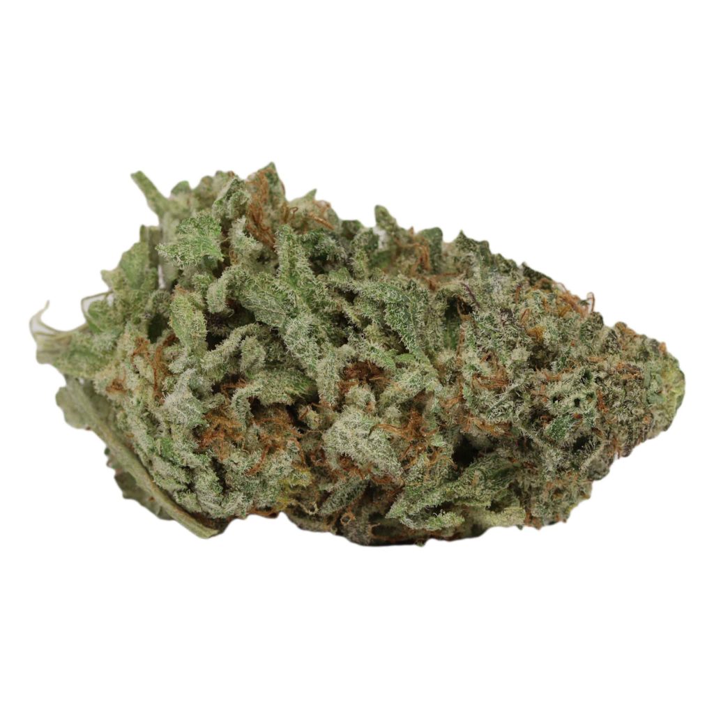 Blueberry AK Strain | Bulk Buddy | Online DIspensary Canada