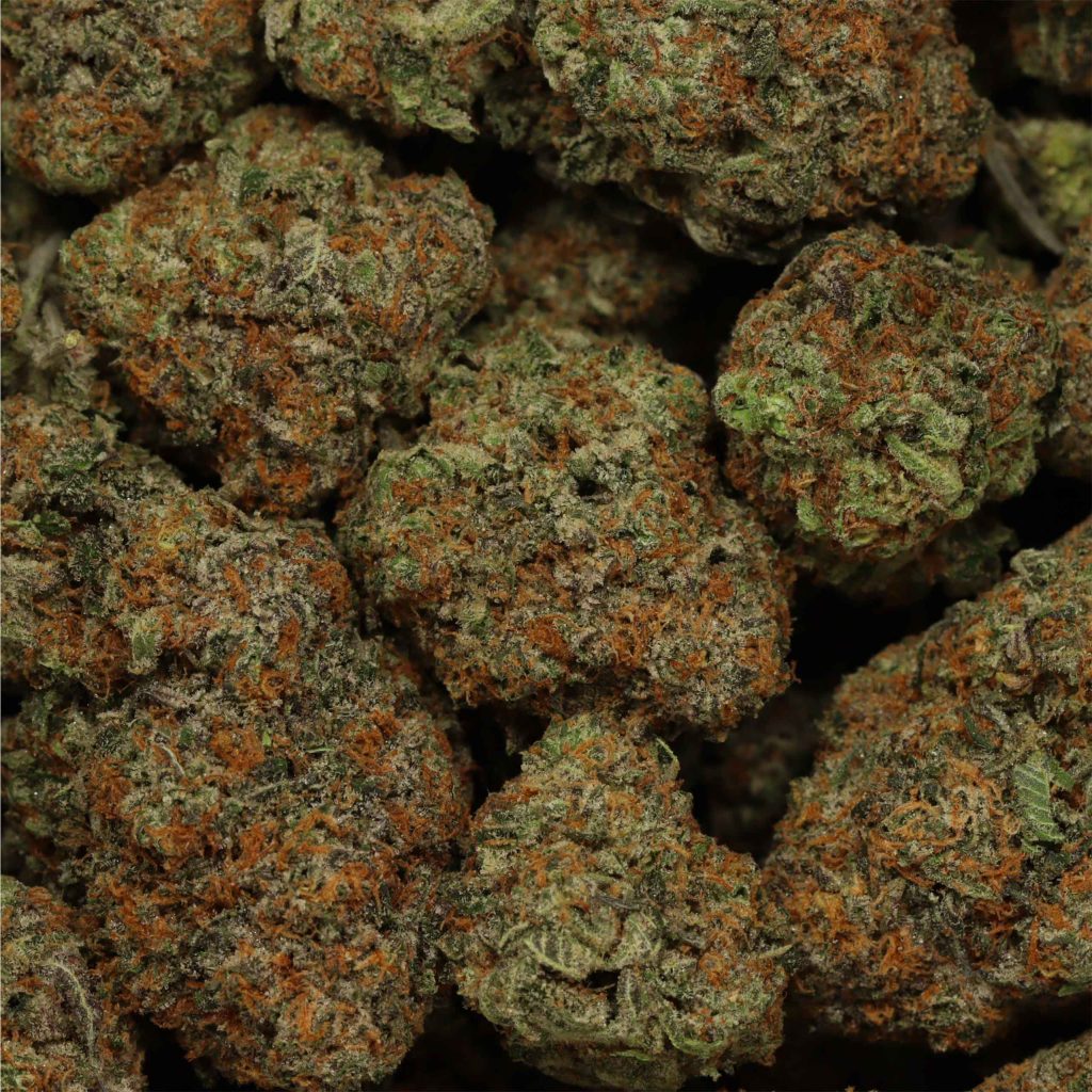 94 Octane Strain | Online Dispensary Canada | Bulk Buddy