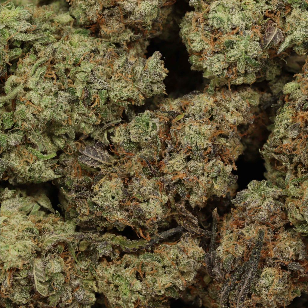 Apples And Bananas Strain Craft Weed | Bulk Buddy Dispensary