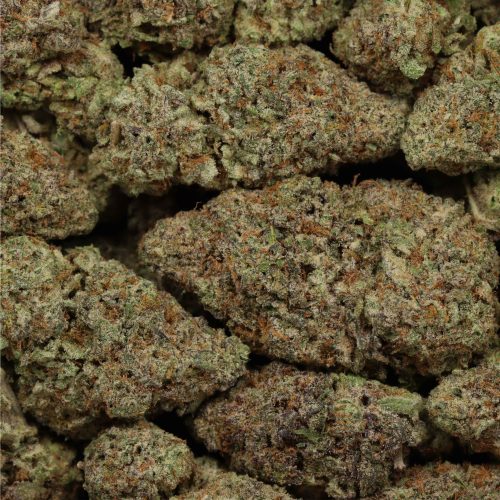 Big Mac Strain | Bulk Buddy Weed | Online Dispensary Canada
