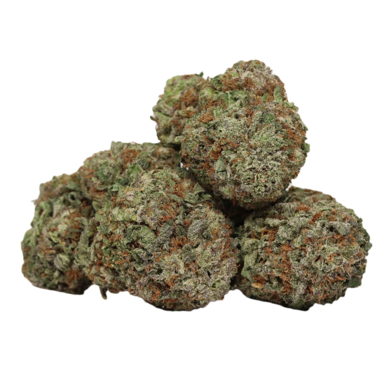 Black Cherry OG Strain | Bulk Buddy Online Dispensary Canada
