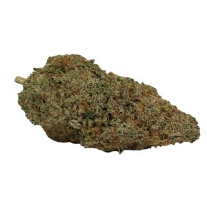 Candyland Strain | Online Dispensary Canada | Bulk Buddy | Wholesale Weed
