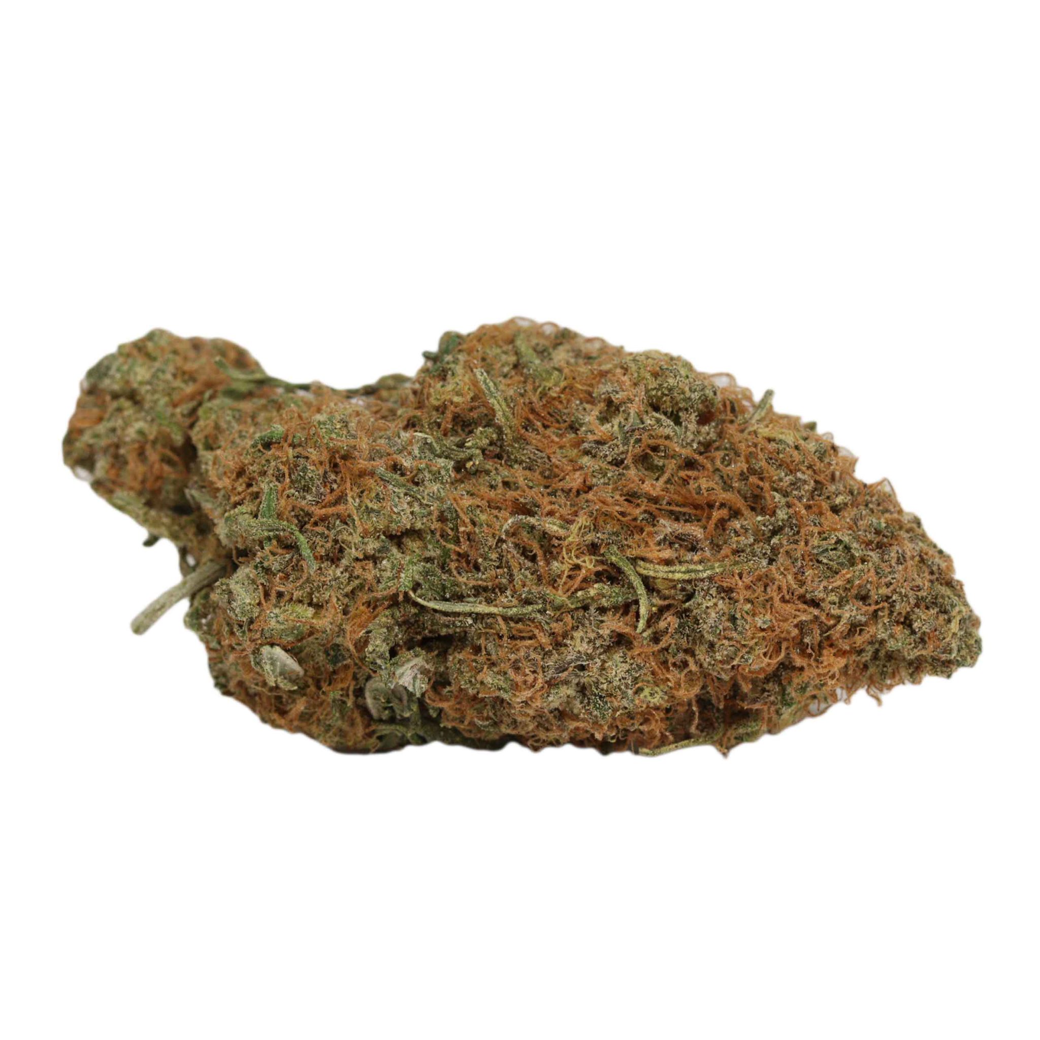 Chocolope Strain | Bulk Buddy Weed | Online Dispensary Canada