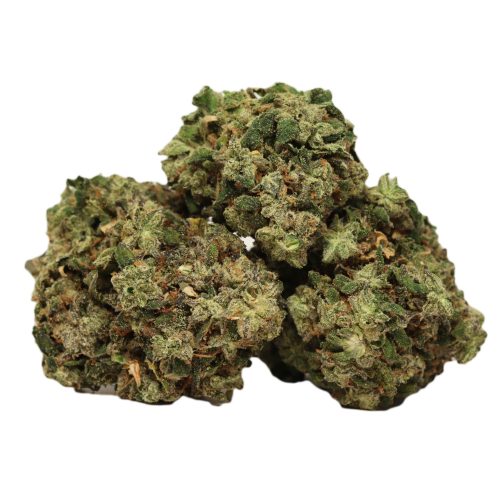 Dank Sinatra Strain | Bulk Buddy Weed Online Dispensary Canada
