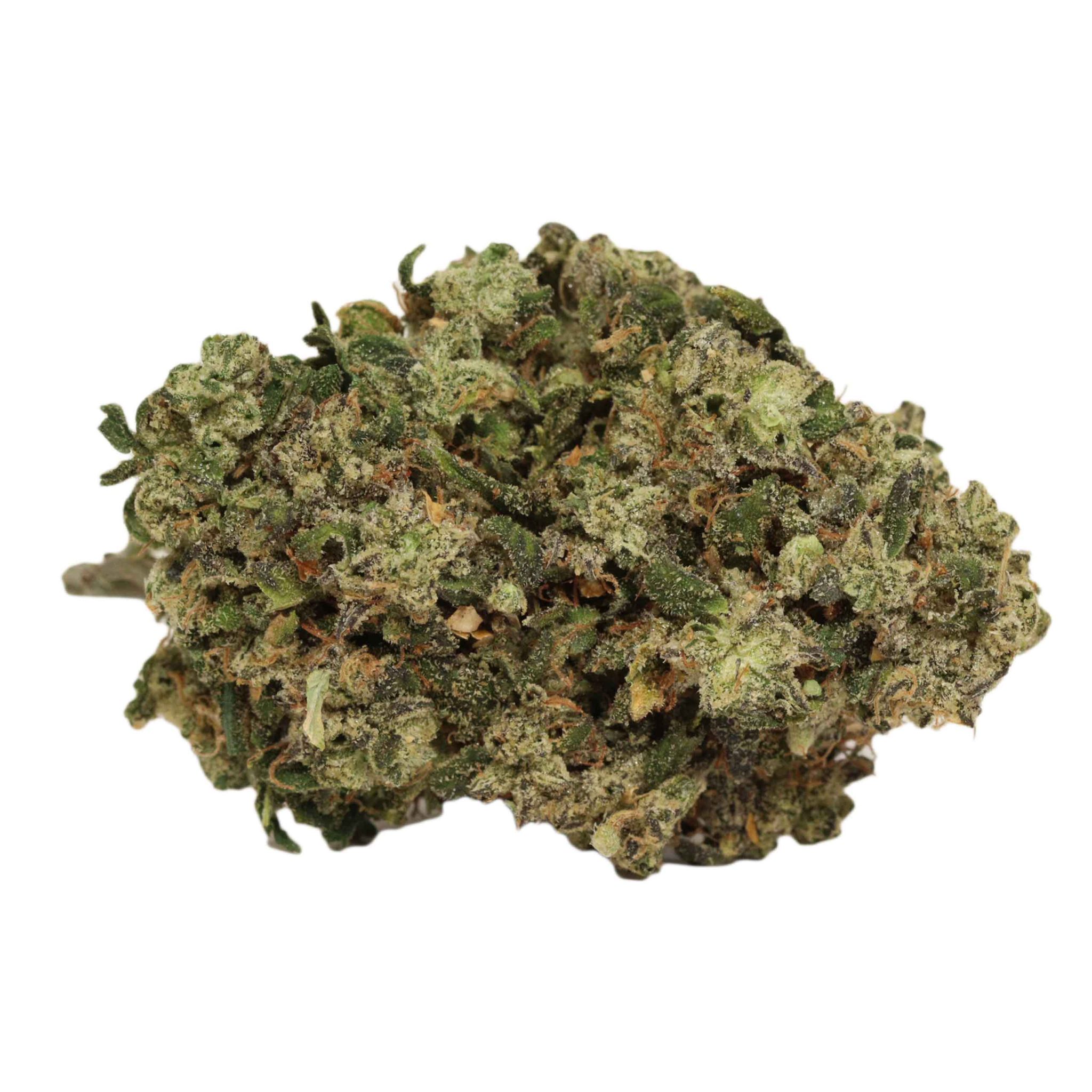 Dank Sinatra Strain | Bulk Buddy Weed Online Dispensary Canada