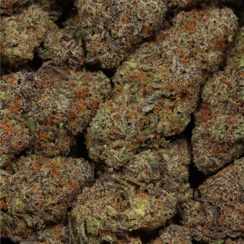 Fancy Funk Strain Craft Bulk Buddy Online Dispensary Canada