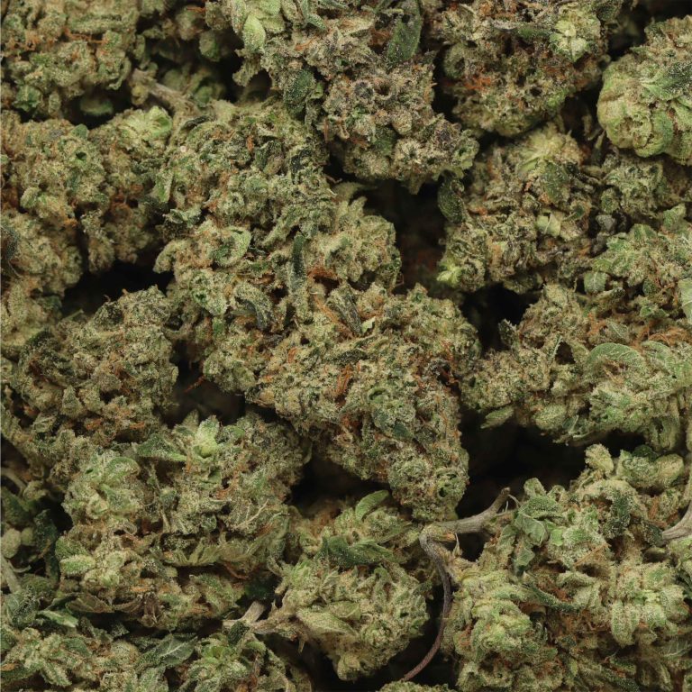 Goofiez Strain Buy Weed Online Bulk Buddy Dispensary Canada