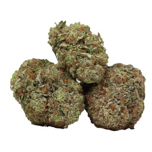 Grape Gasoline Strain | Bulk Buddy Online Dispensary Canada