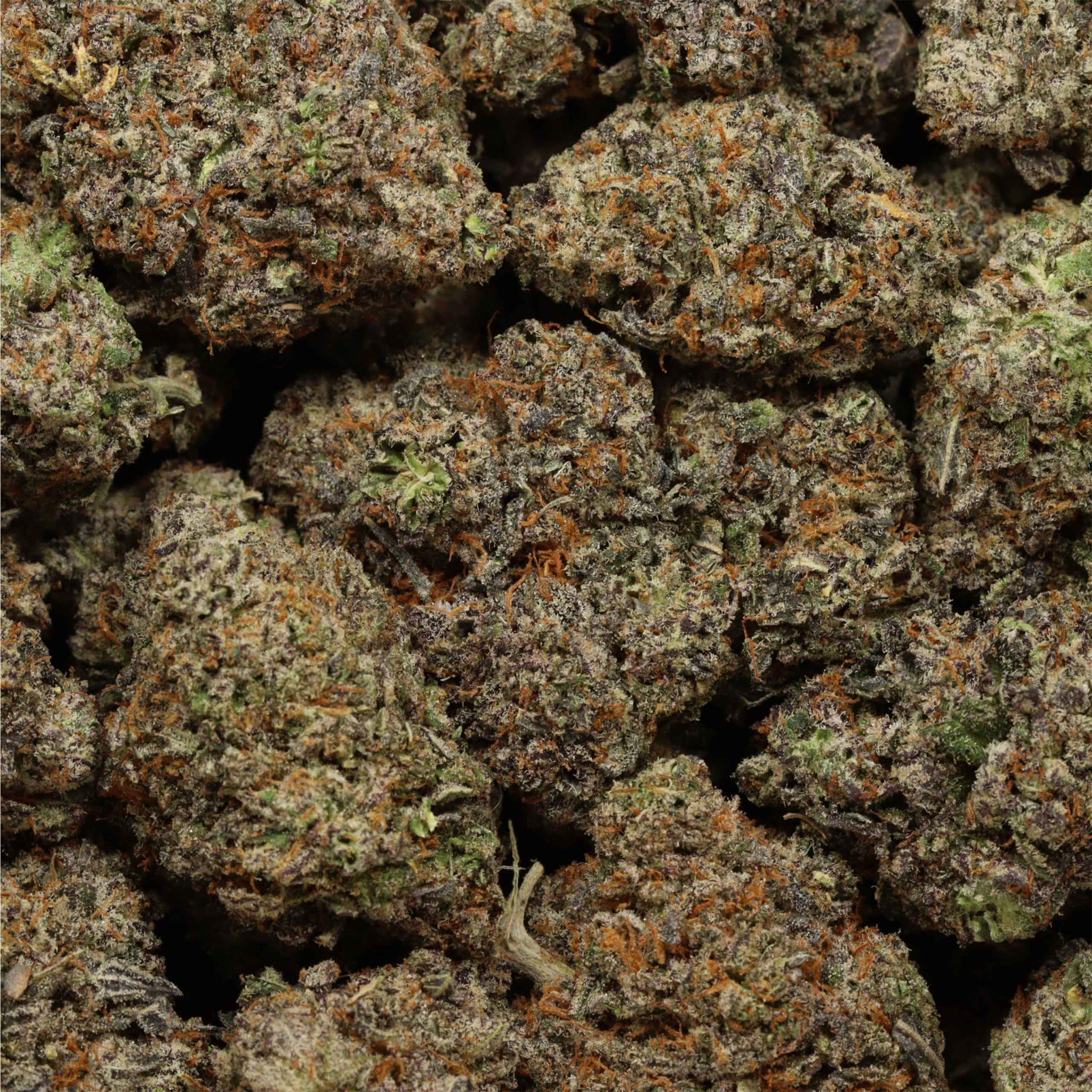 Grape Cake Strain | Buy Weed Canada | Bulk Buddy Wholesale