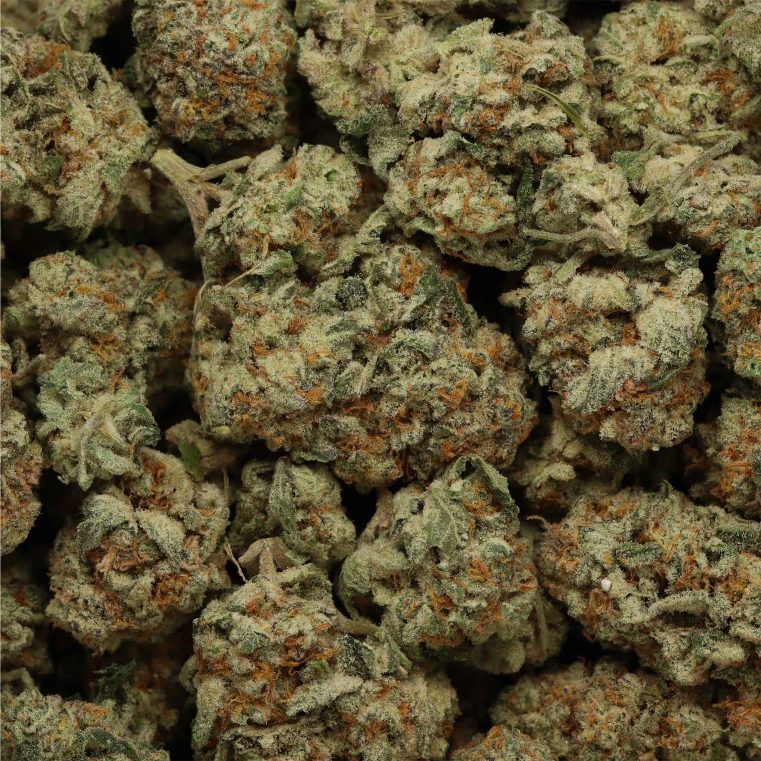 Ice Wine Strain | Bulk Buddy Weed | Online Dispensary Canada