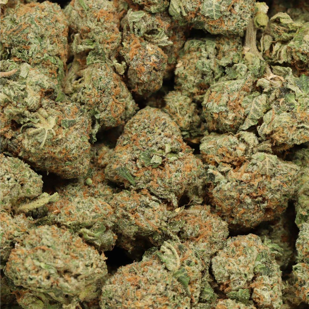 Mango Kush Strain | Bulk Buddy | Online Dispensary Canada